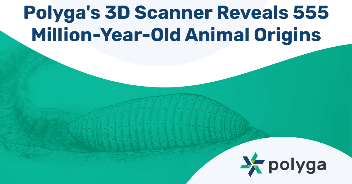 Case Study - Polyga 3D Scanner Aided Discovery of Origins of Animals
